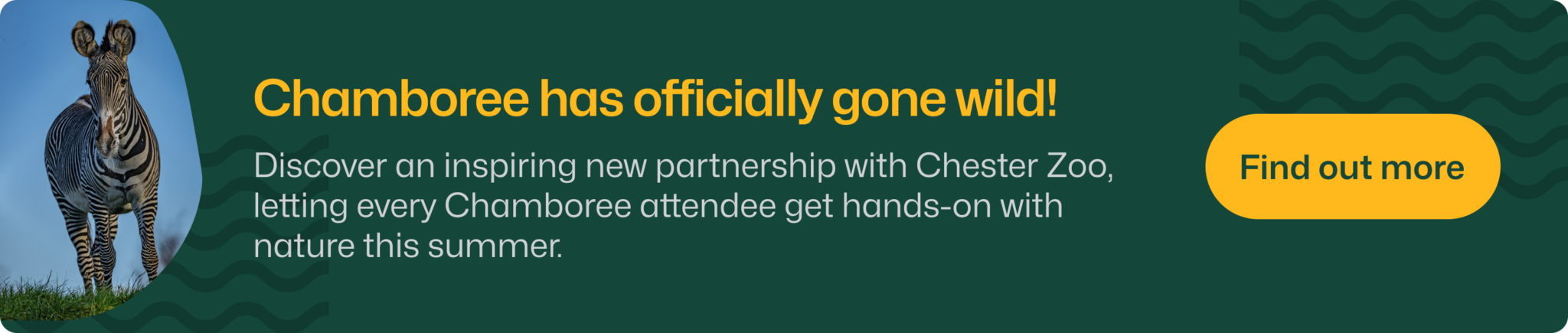 Cheshire Scouts announce conservation partnership with Chester Zoo for ...